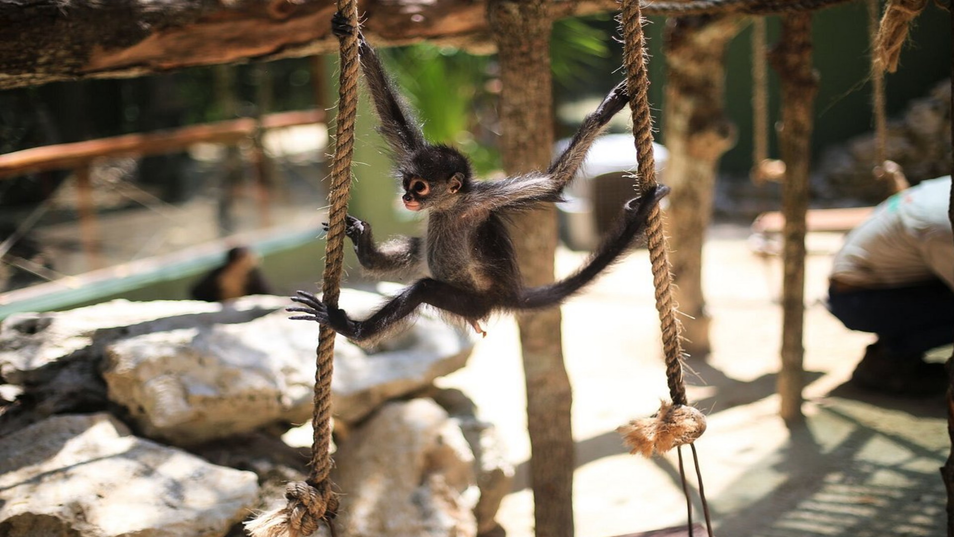 Sightseeing & Adventure - Akumal Getaways